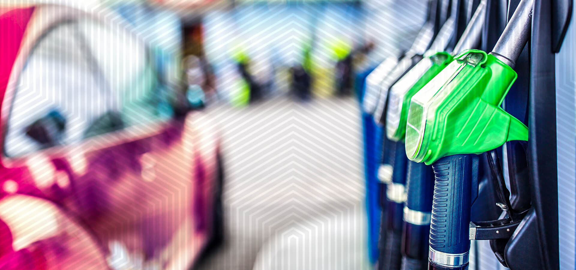 The future to stable oil prices | Moolah